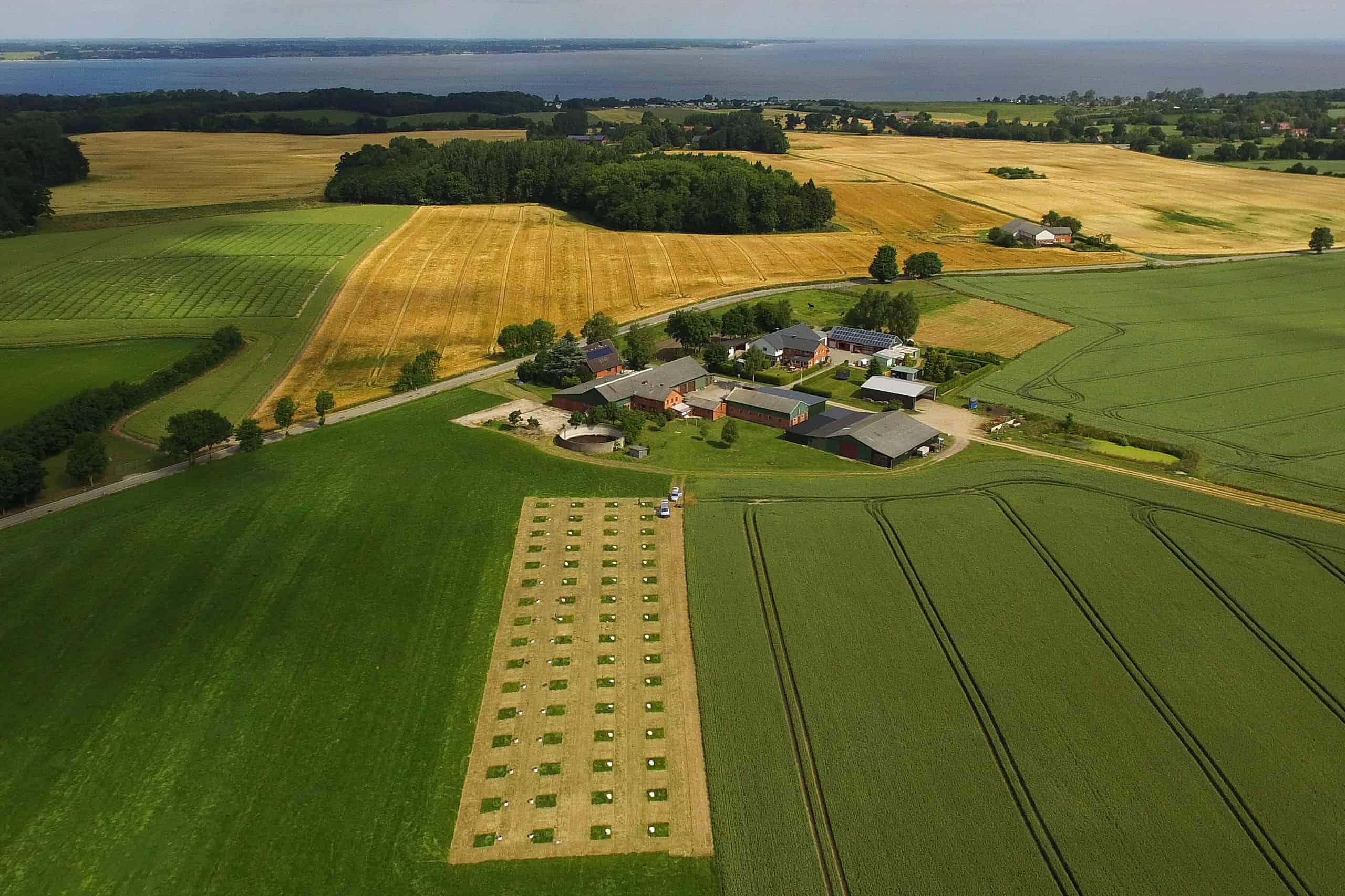 Sustainable manure and nutrient management for reduction of nutrient ...