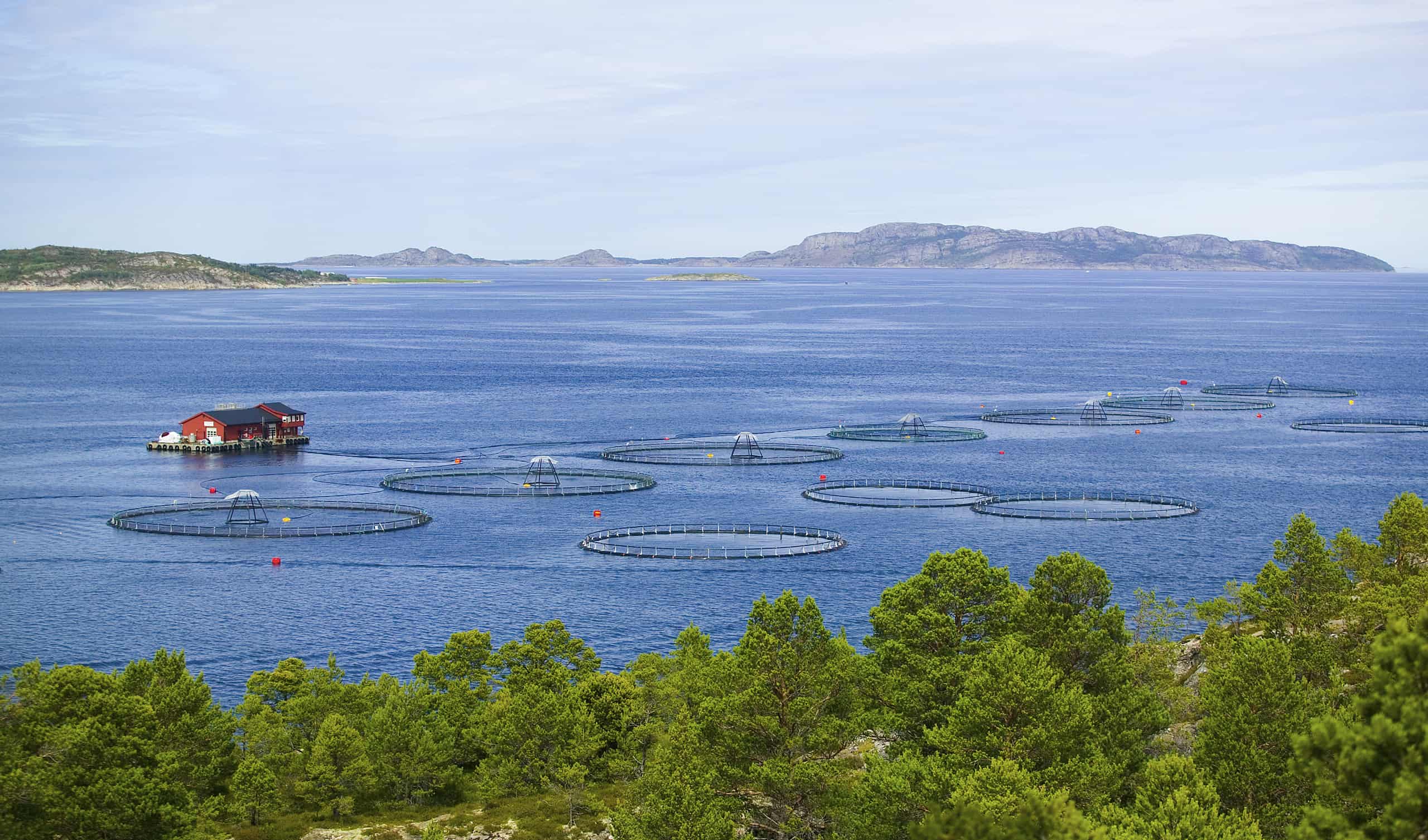 Bioeconomy for Blue Growth in the Baltic Sea Region – a platform ...