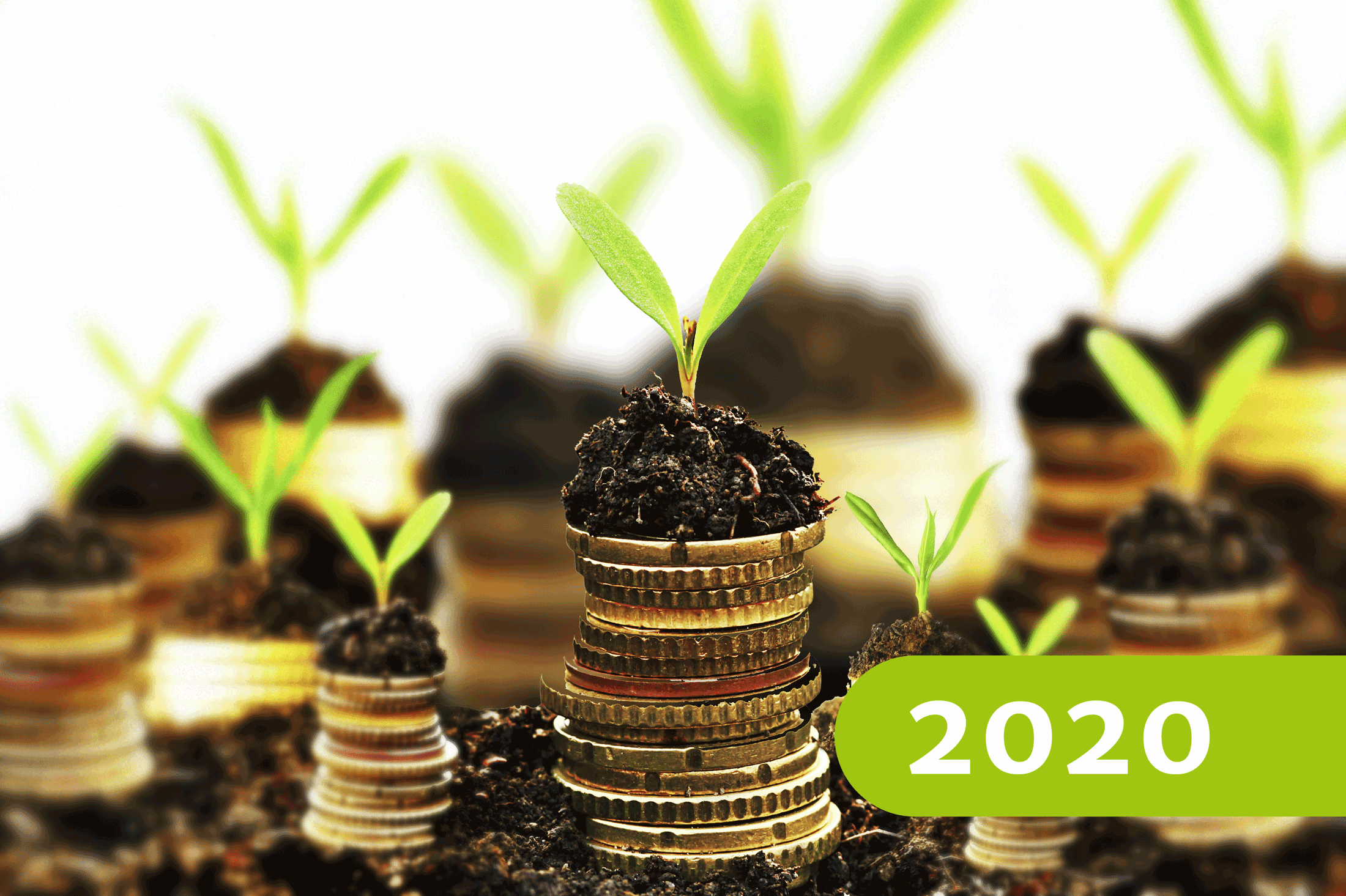 Blue Supply Chains for a better integration of Motorways of the Sea and ...