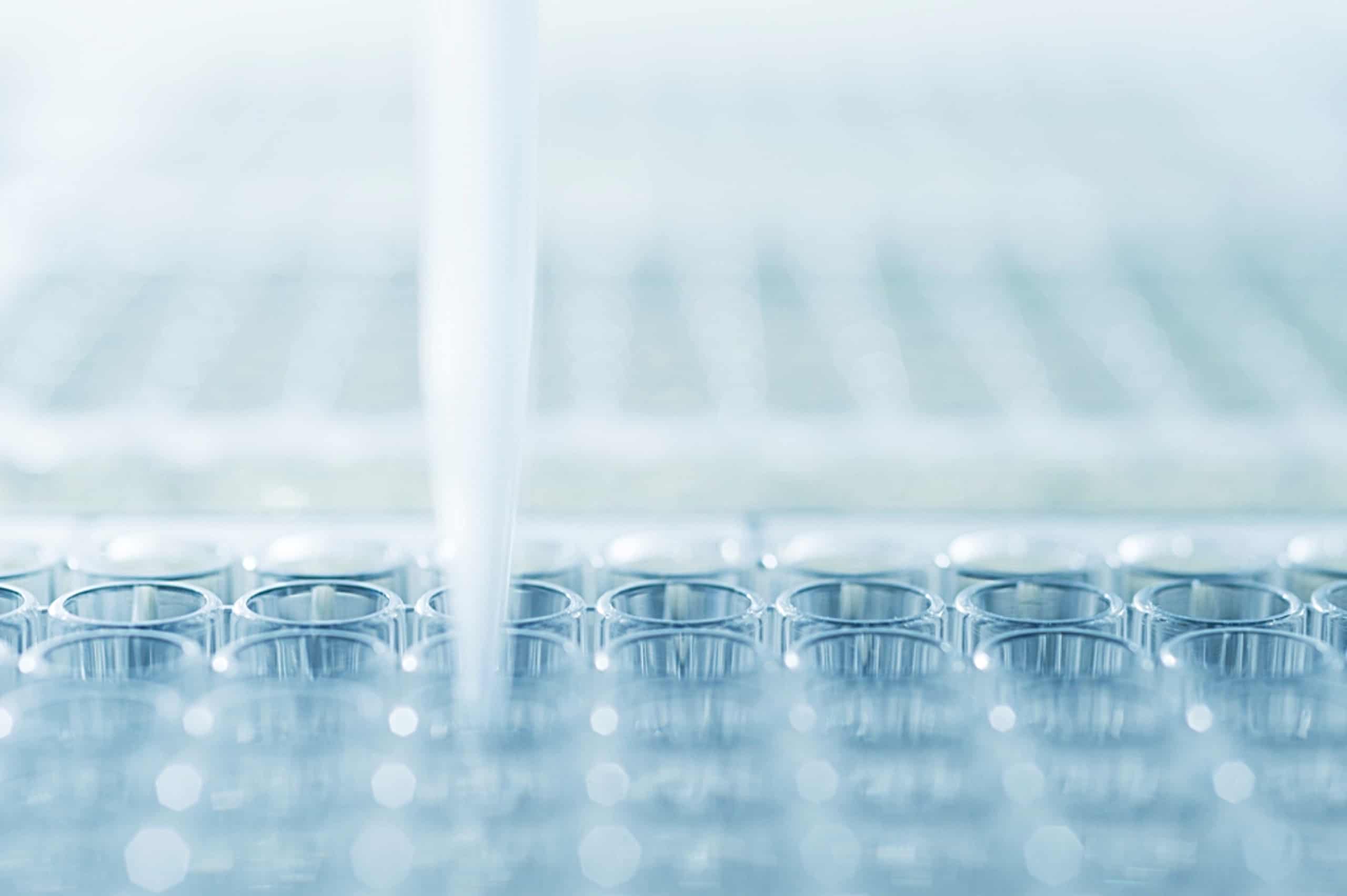 Baltic Blue Biotechnology Alliance+ - Interreg Baltic Sea Region