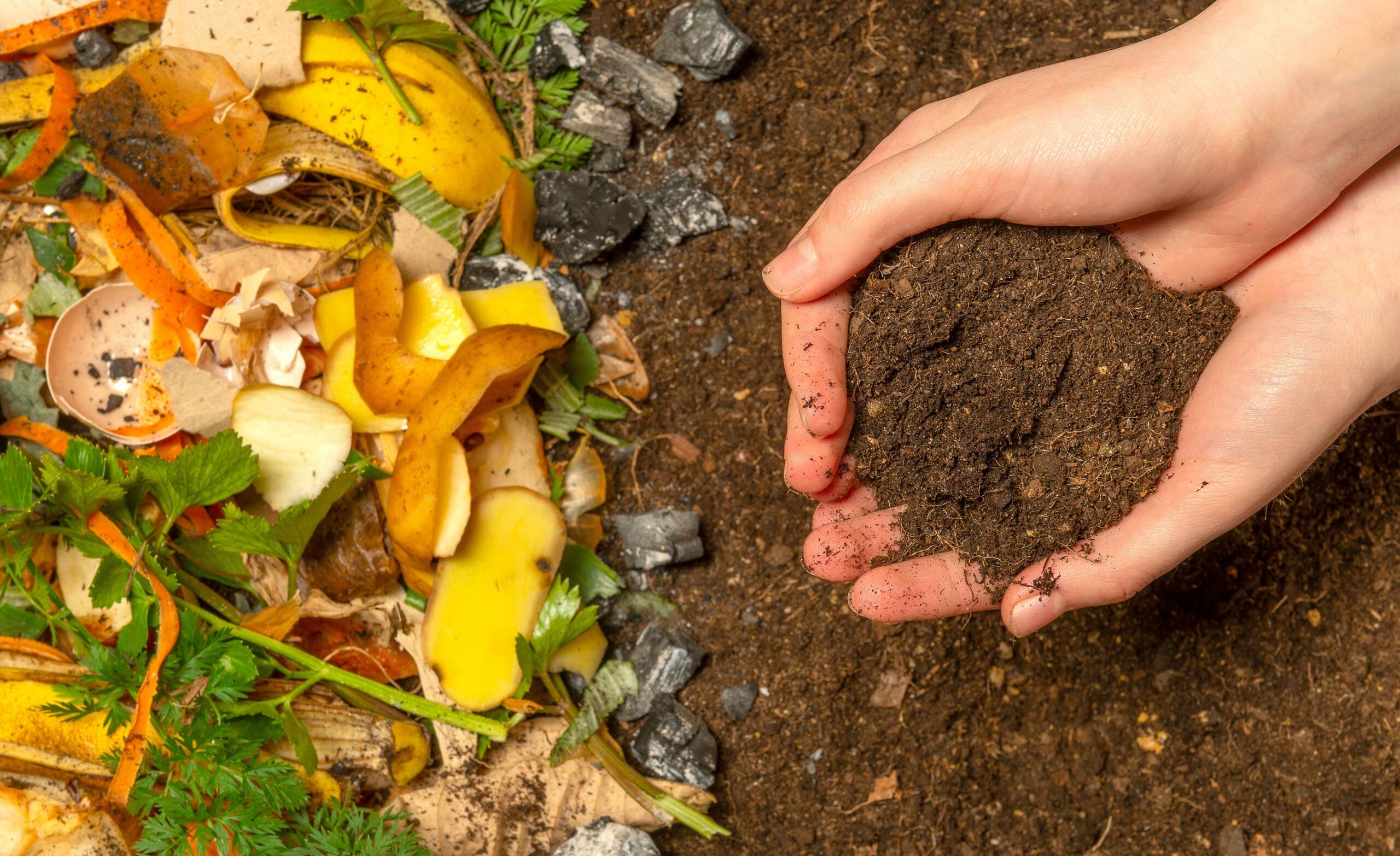 FoodLoops - Interreg Baltic Sea Region