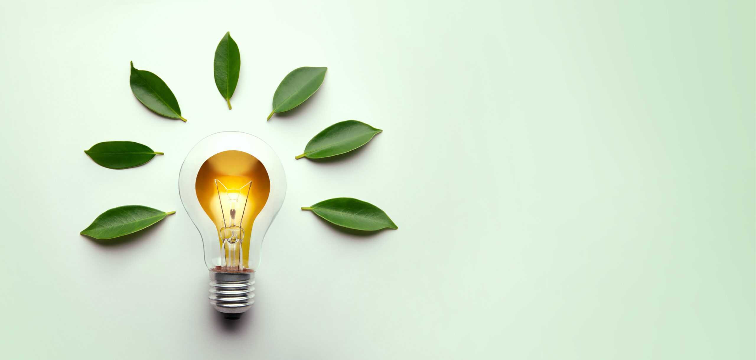 Advancing the Climate Action Decision Support Tool: A Collaborative ...