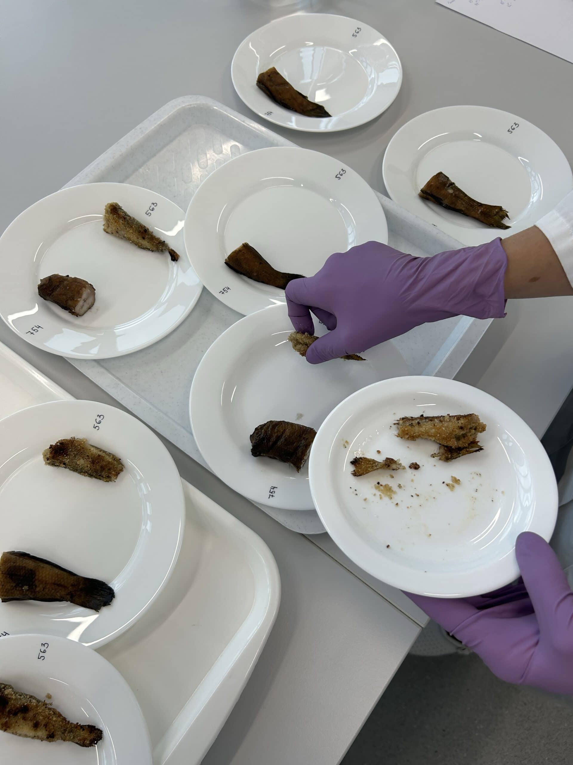 Exploring Consumer Preferences for Round Goby Products - Interreg ...