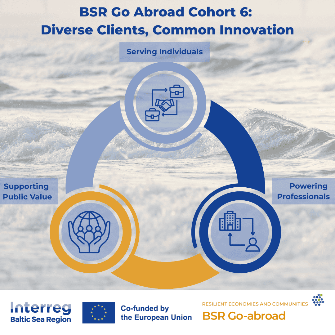 BSR Go Abroad: Cohort 6 Meet the Participants: Diverse Clients, Common ...
