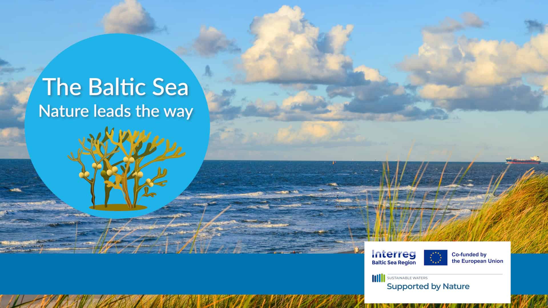 The Baltic Sea - Nature leads the way - Interreg Baltic Sea Region