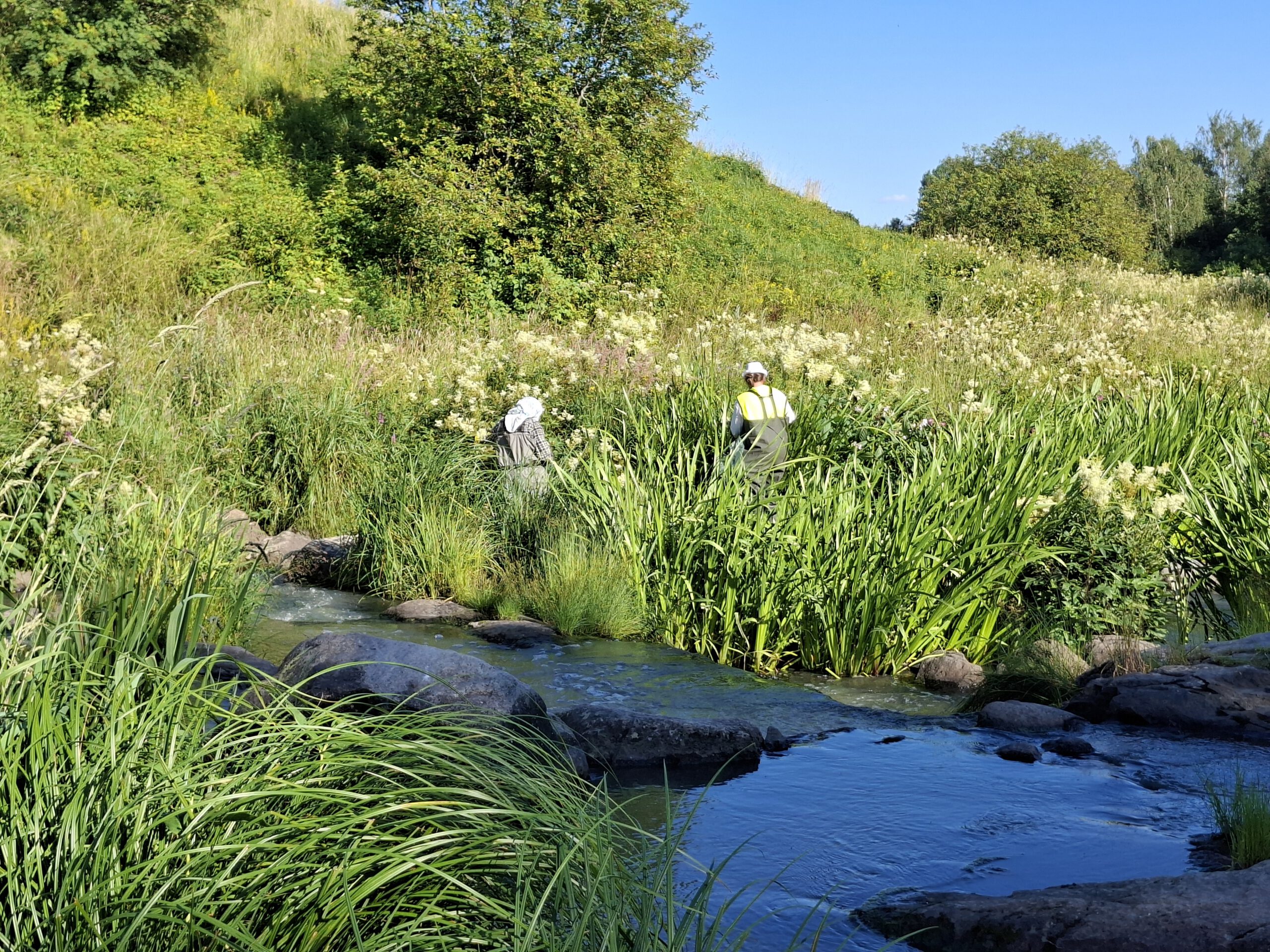 Sustainability Collaboration Between Civil Society Actors and Municipalities - 12 Examples from ...