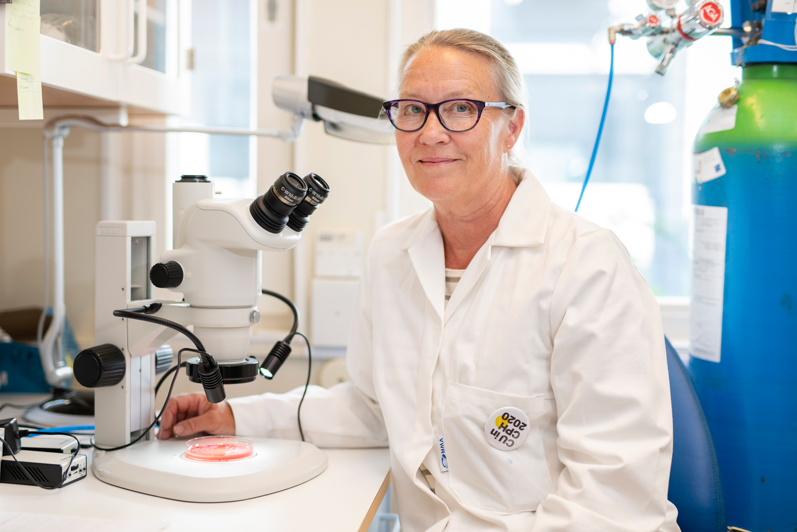 Spruce Bark Could Replace Toxic Chemicals - Interreg Baltic Sea Region